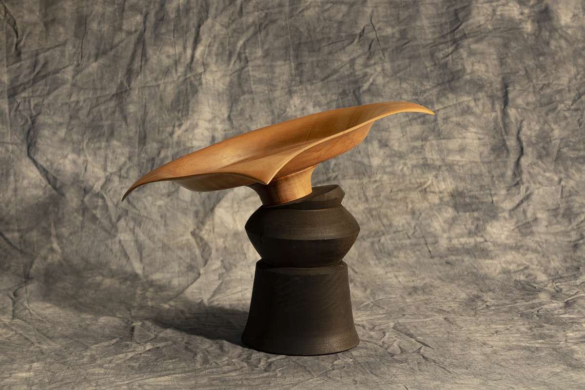 Alby ART Turned WoodART Gallery