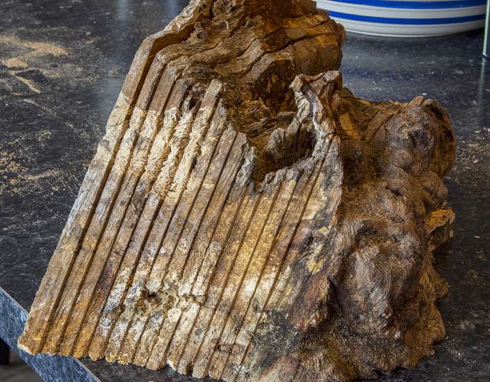 Art Gallery | Alby Art | Milwaukee Madison Waterford Wisconsin